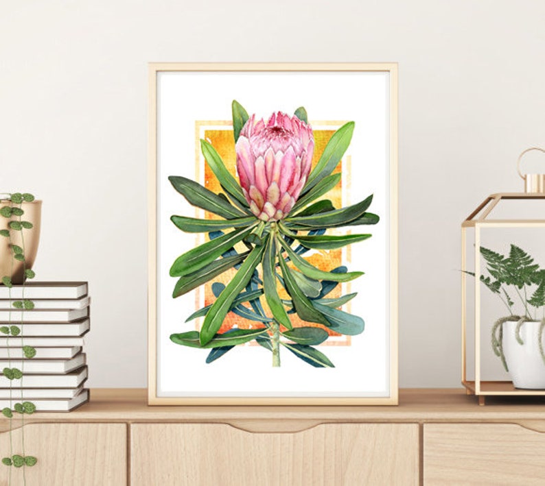 Protea Art Print Native Flower Painting Australiana | Etsy