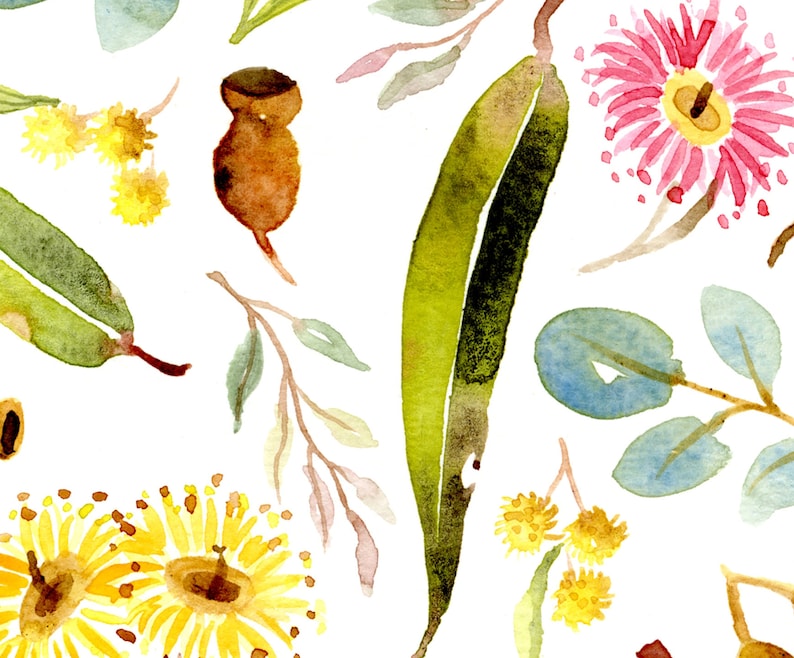 Floral Australian Art Prints Aussie Flora Home Decor Set of | Etsy