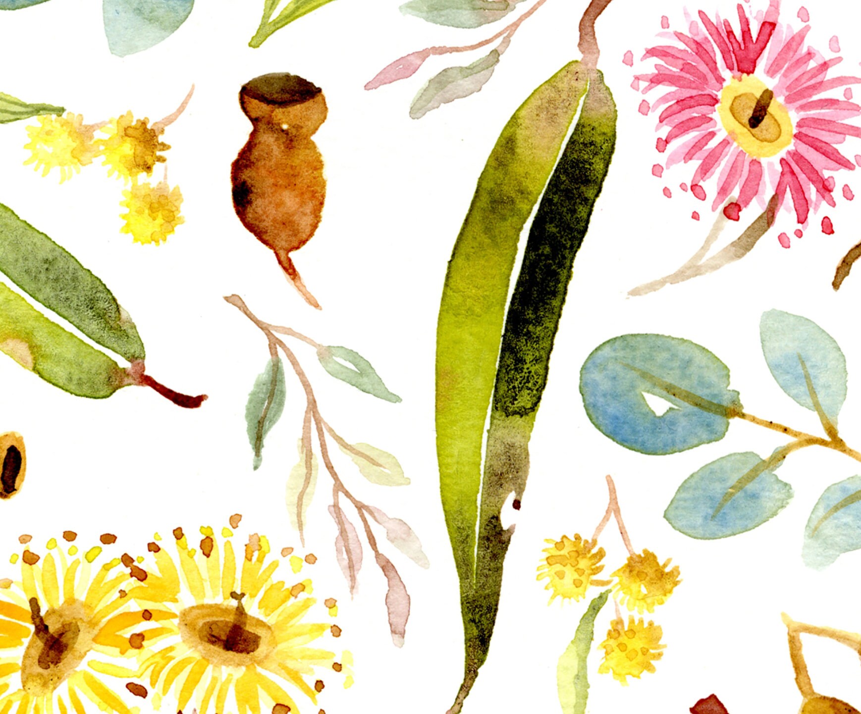 Floral Australian Art Prints Aussie Flora Home Decor Set of - Etsy ...