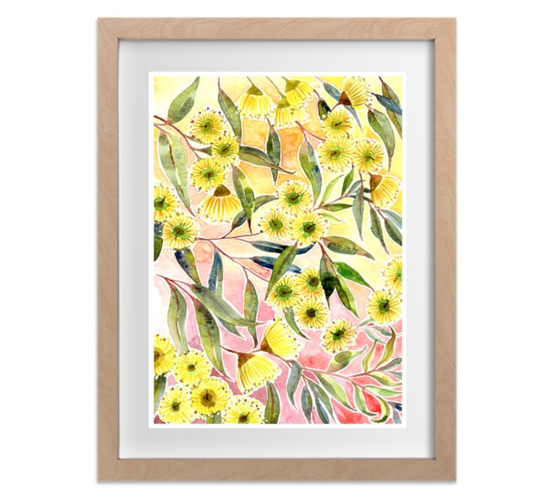Yellow Gum Blossom Art Print Australian Native Flowers - Etsy