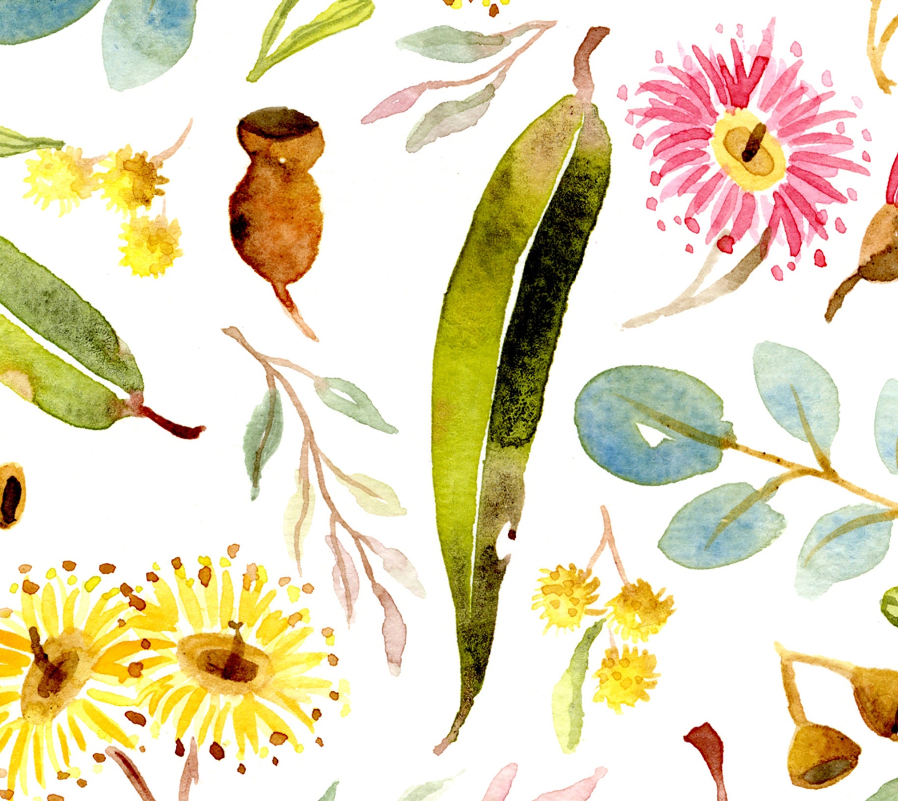 Australian Natives Art Print Aussie Flowers Watercolour - Etsy