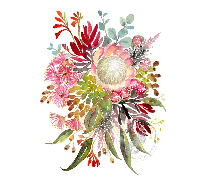 Australian Flowers Art Print, Native Aussie Flora Wall Decor, Protea ...