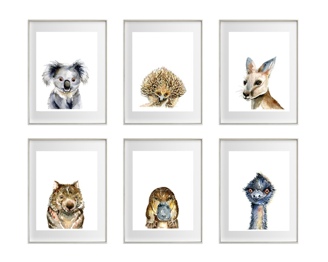 Australian Native Animals Art Prints Set of 6 Koala Kangaroo - Etsy