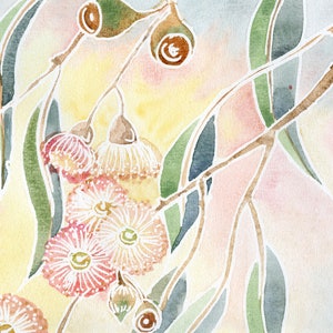 Pastel Pink Gum Blossom Art Print, Native Australian Gumblossom ...