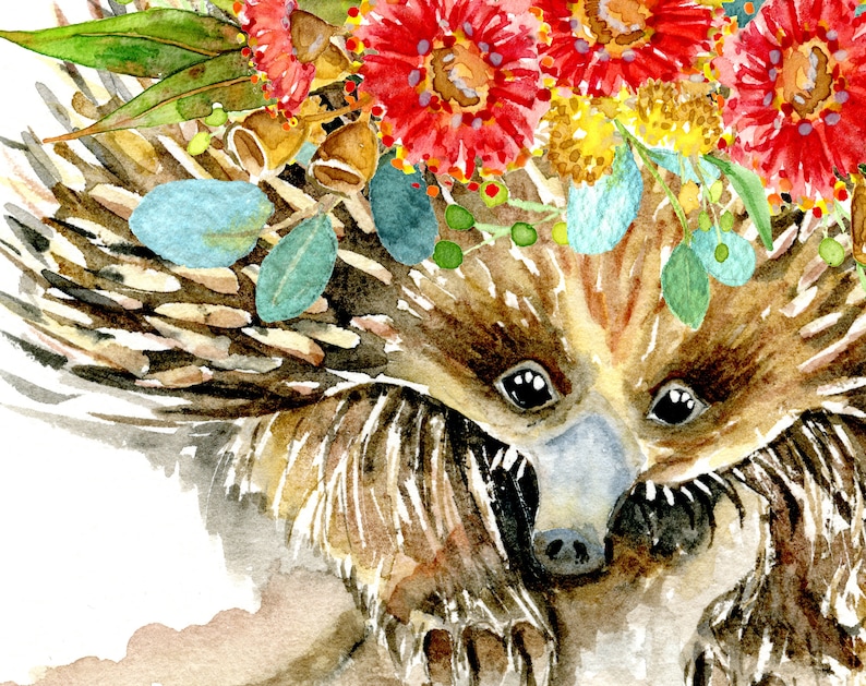 Australian Native Animals With Flower Crowns Art Prints Set - Etsy