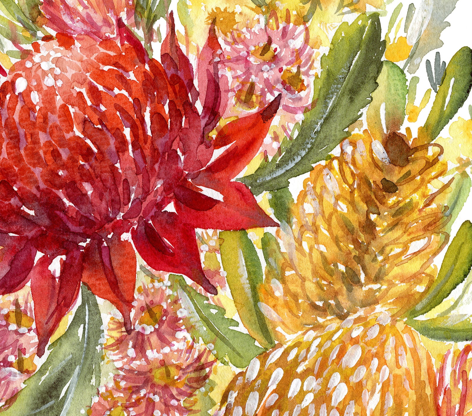 Waratah Art Print Australian Native Painting Watercolor Wall - Etsy ...