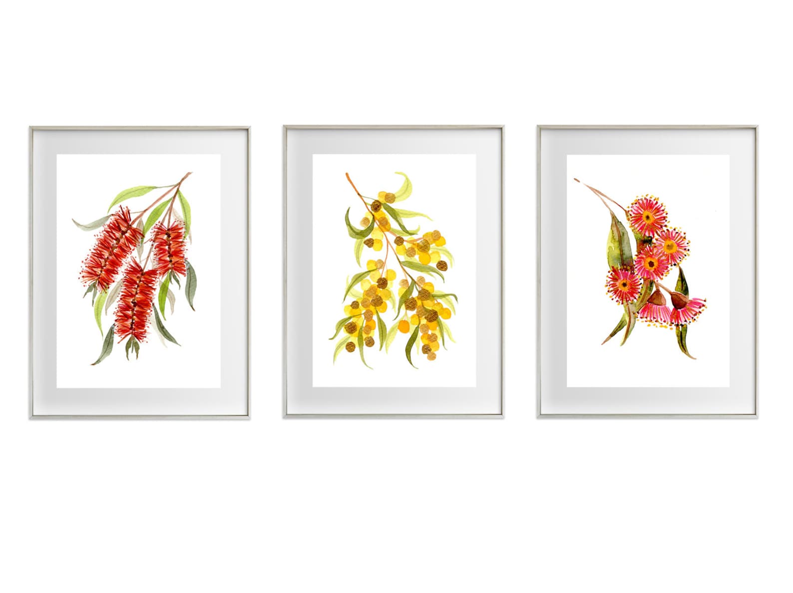 Set of 3 Australian Flora Art Prints Wattle Bottlebrush Red - Etsy ...