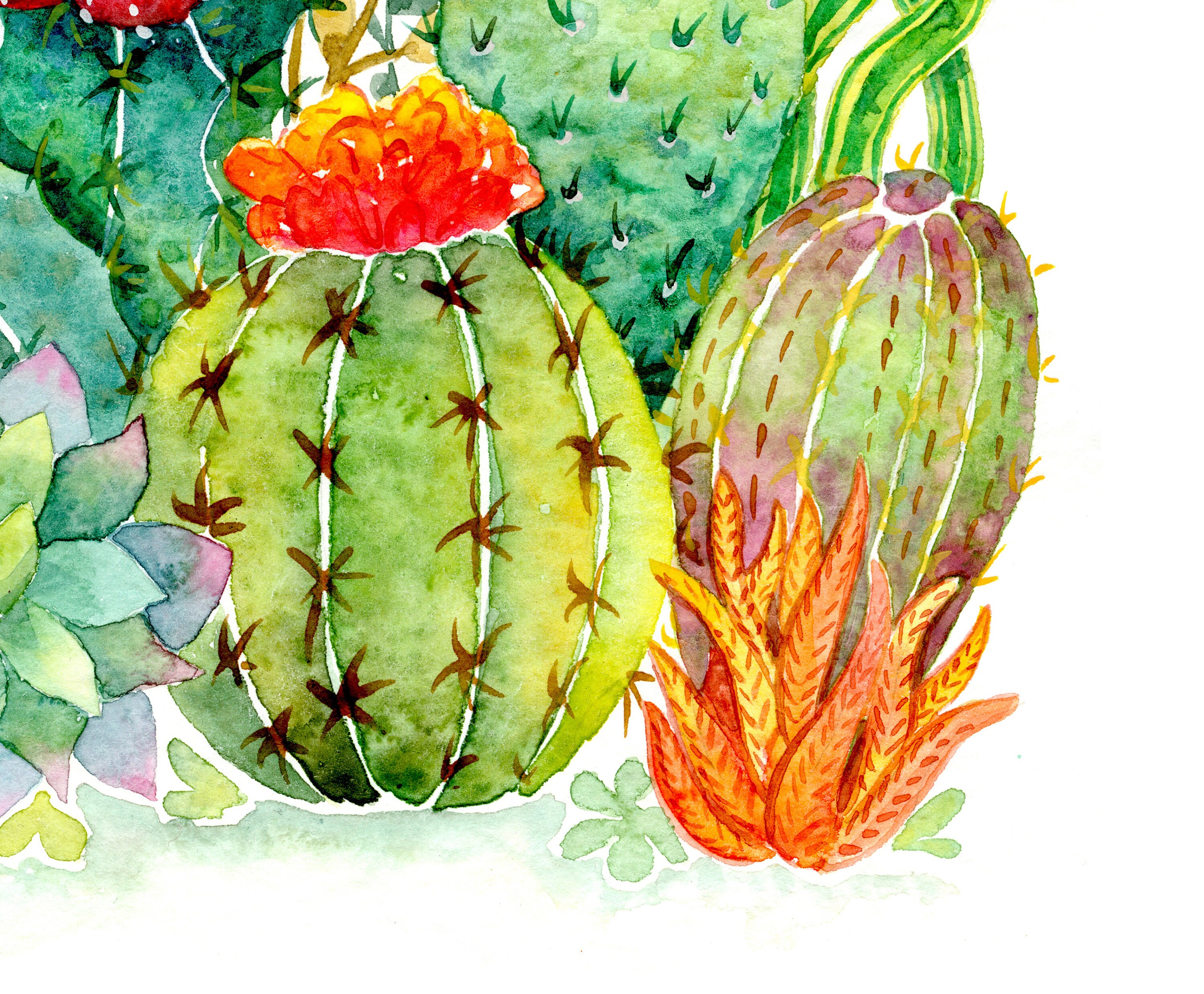 Cactus and Flowers Colourful Art Prints Set of 2 Bright - Etsy