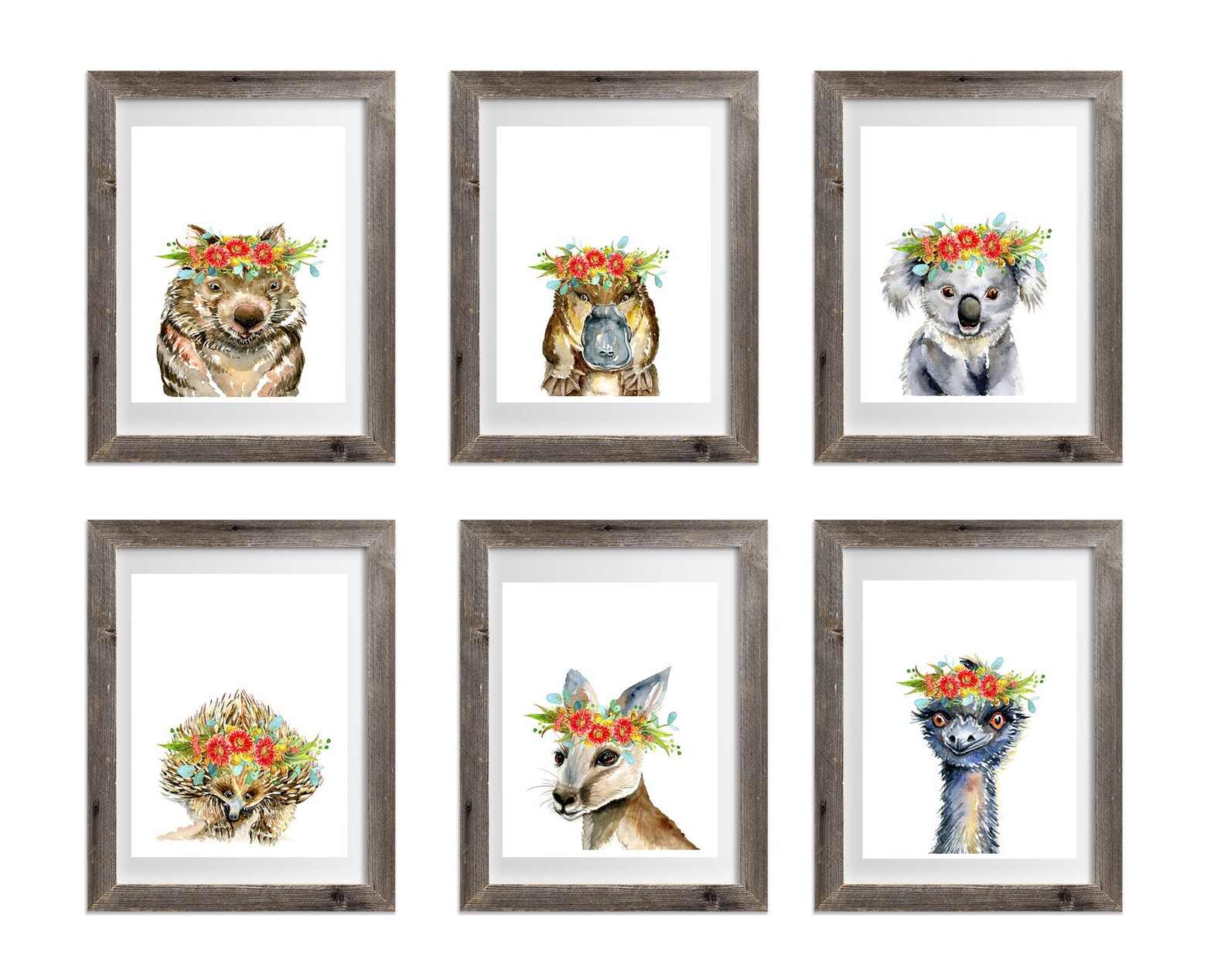 Australian Native Animals With Flower Crowns Art Prints Set | Etsy