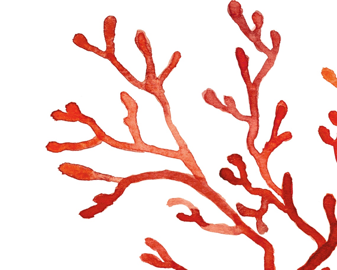 Coral Botanical Watercolour Prints set of 4. Rust Red Orange | Etsy