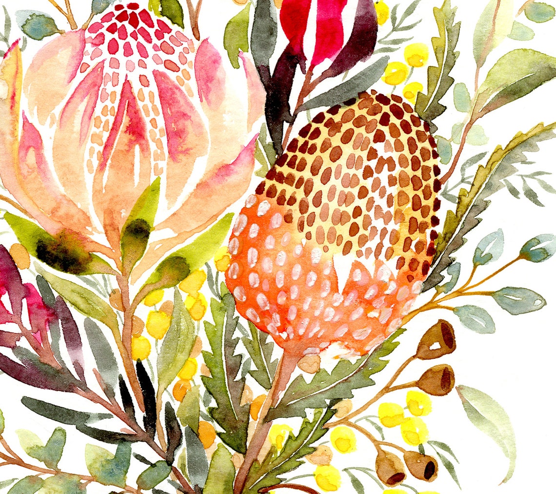 Australian Native Flowers Art Print protea banksia Blue Vase | Etsy