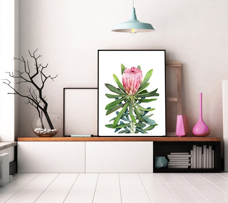 Protea Art Print Native Flower Painting Australiana - Etsy Australia