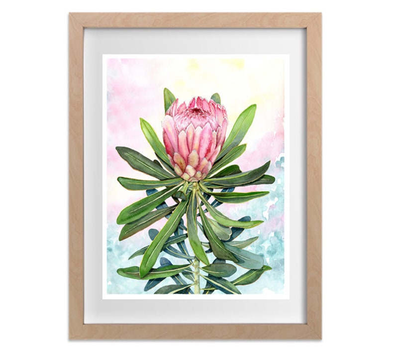 Protea Art Print Native Flower Painting Australiana | Etsy