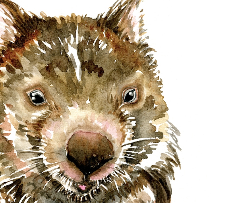 Wombat Art Print Watercolour Painting Australian Animal Girl - Etsy