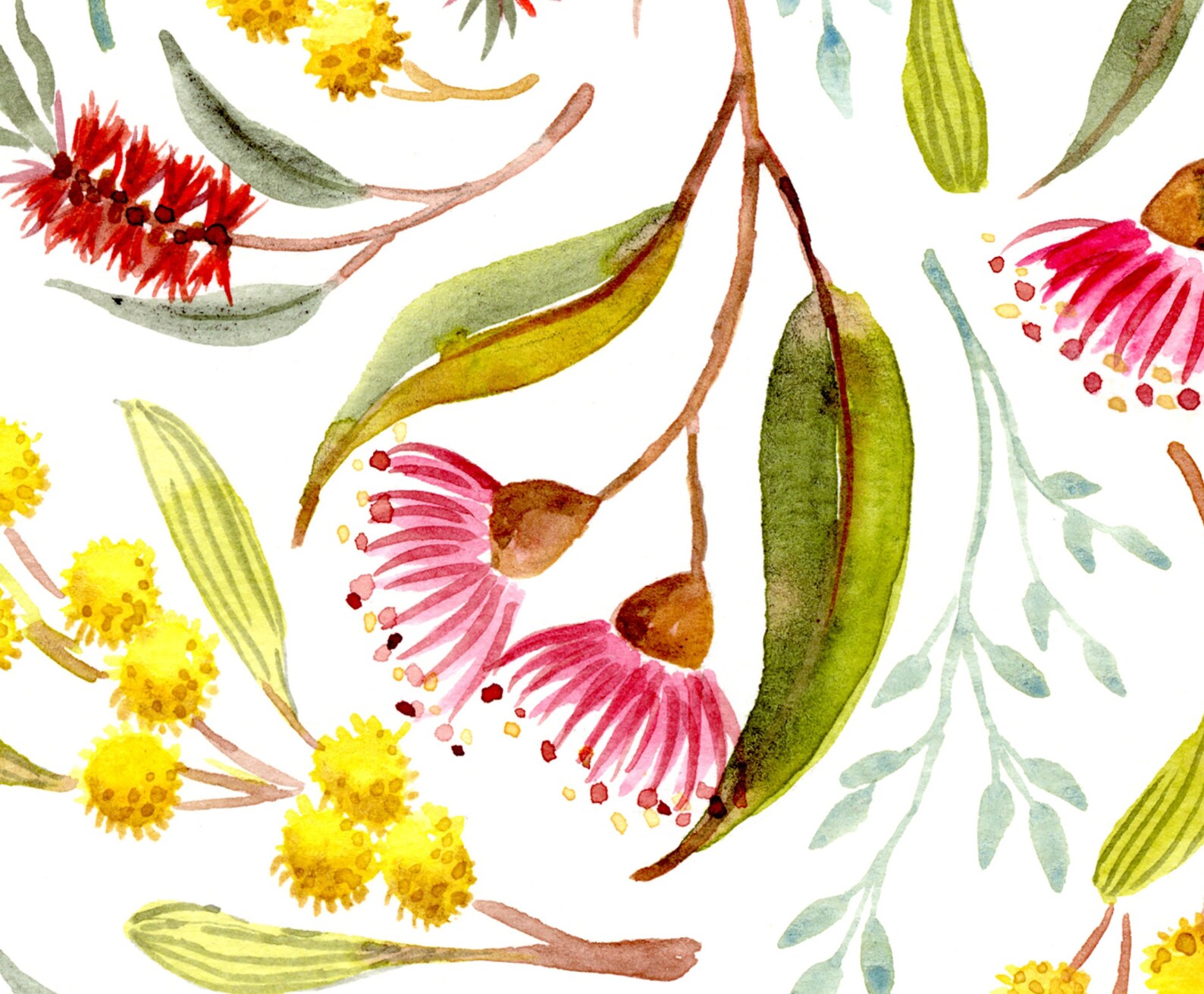 Floral Australian Art Prints Aussie Flora Home Decor Set of | Etsy