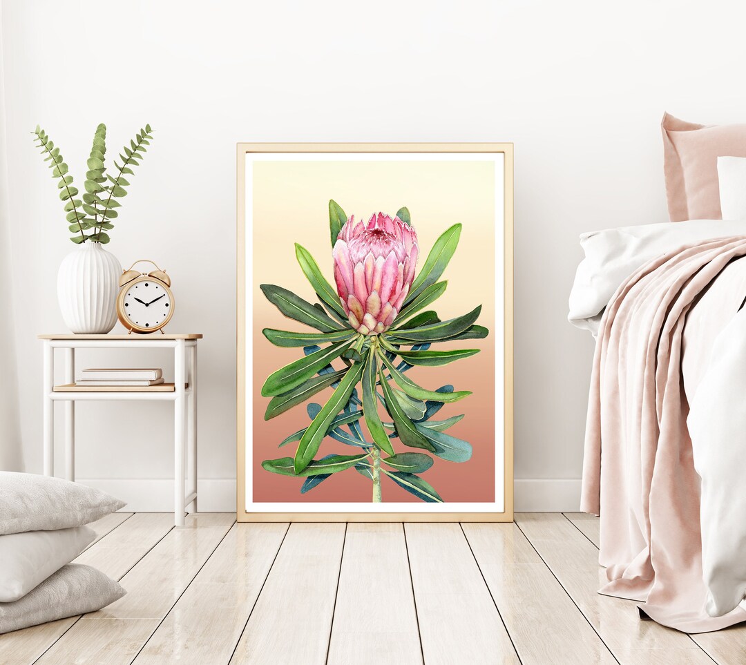 Protea Art Print, Native Flower Painting, Australiana Watercolor Wall ...