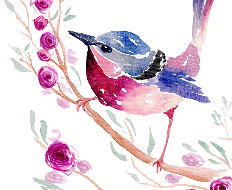 Wren Bird - Pink and Blue Watercolour Print, Home Decor, Office Art ...