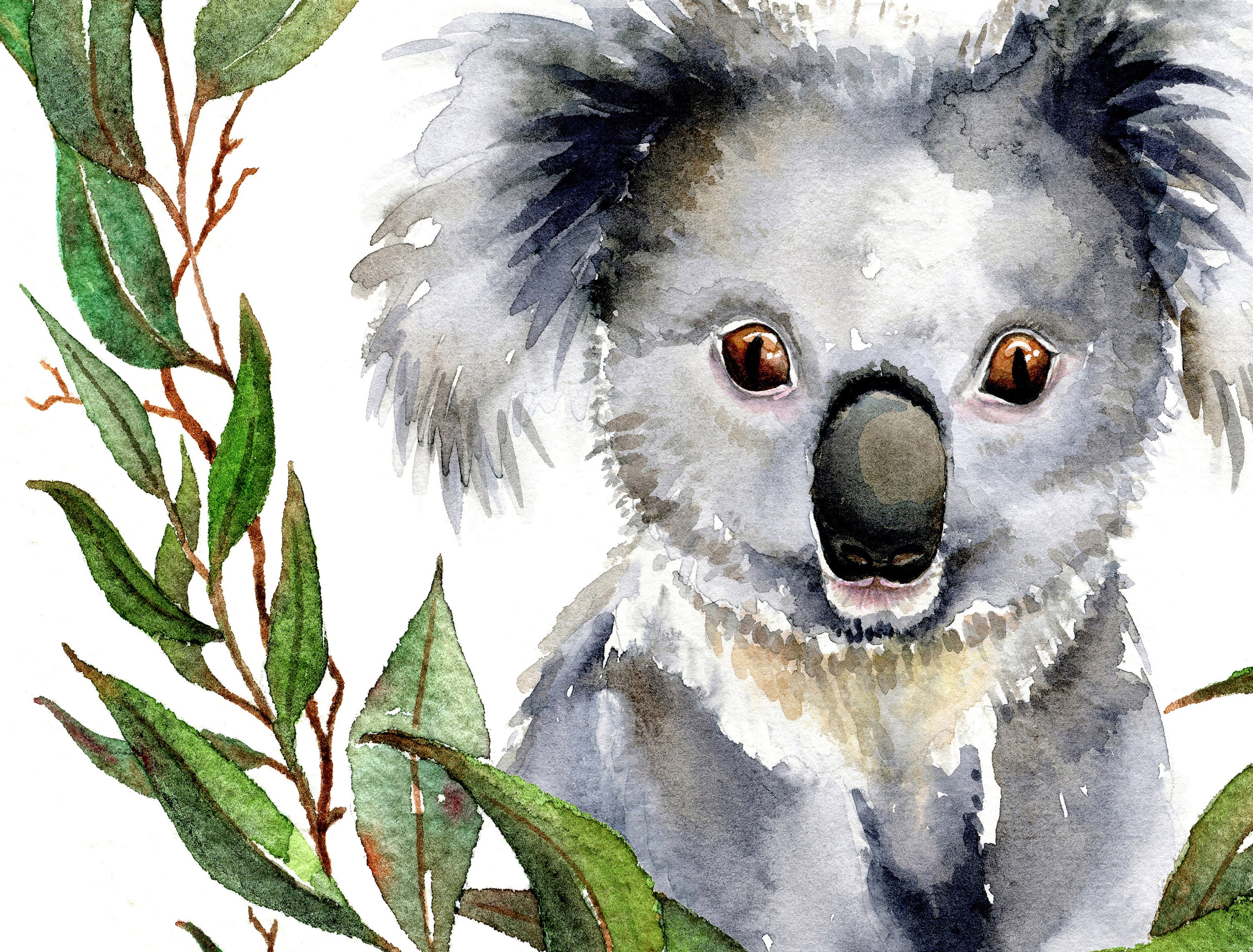 Australian Animal Art Prints Eucalyptus Leaf Wreath Set of - Etsy Australia