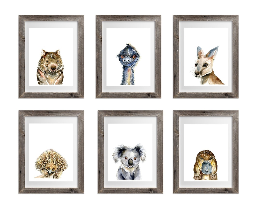 Australian Native Animals Art Prints, Set of 6, Koala Kangaroo Echidna ...