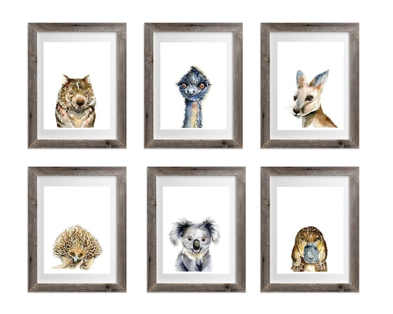 Australian Native Animals Art Prints set of 6 Koala Kangaroo | Etsy