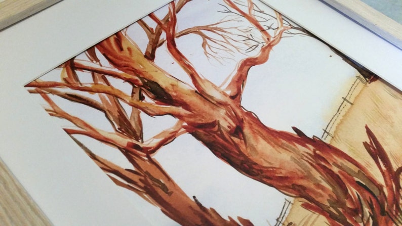 Gumtree Watercolour Art Print Wall Print Australian - Etsy Australia