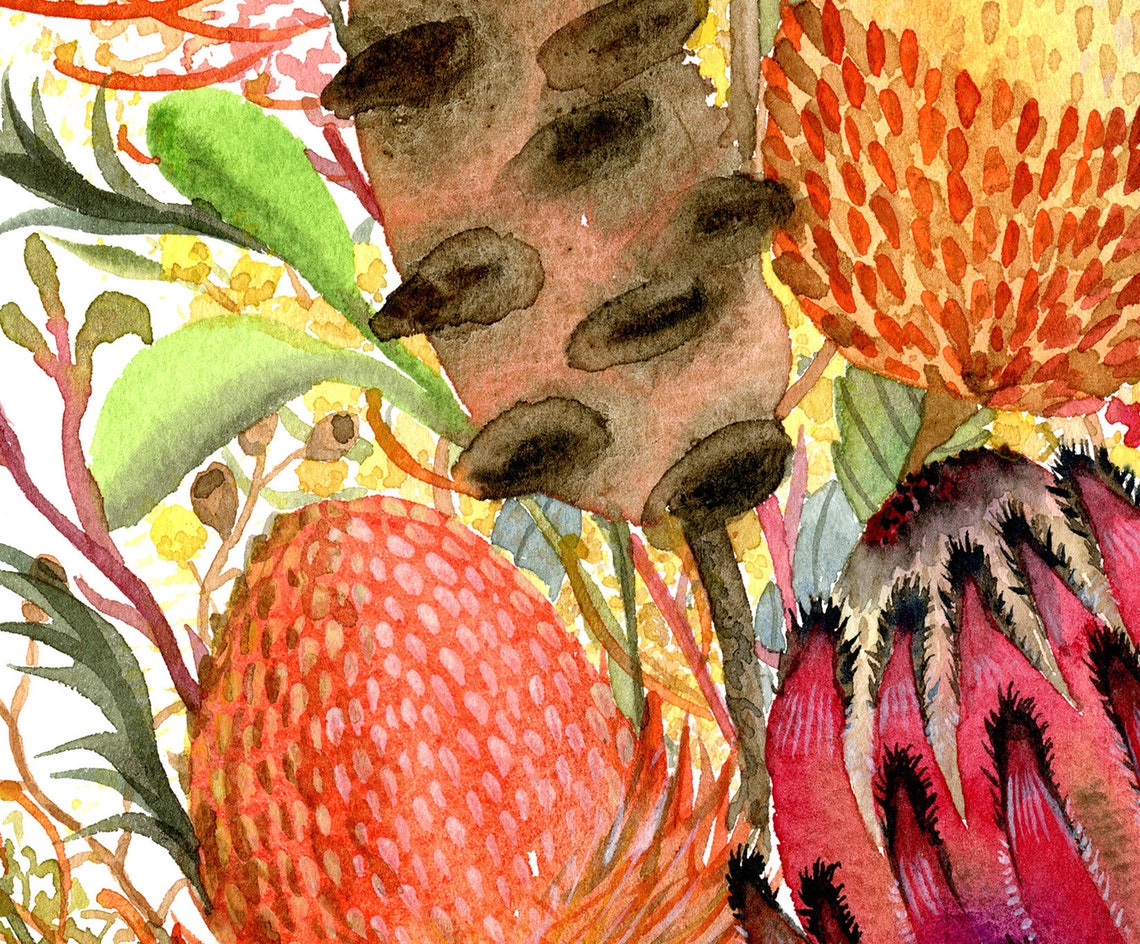 Australian Native Flower Art Prints Aussie flora wall art Set | Etsy