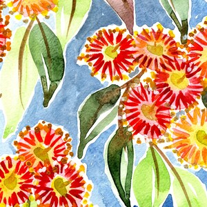 Australian Gum Blossom Art Prints Aussie Flora Wall Art Set - Etsy