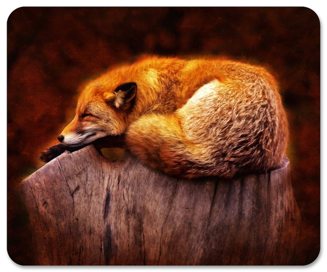Red Fox Curled up on a Stump Mousepad - Red Fox - Christmas - Gifts ...