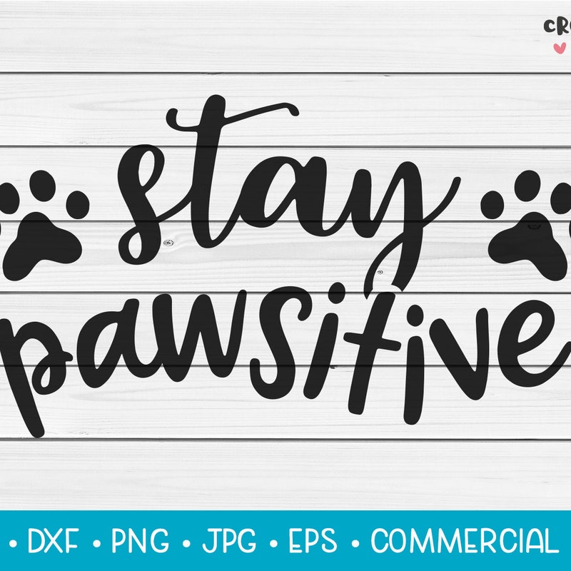 Pawsitive - Etsy