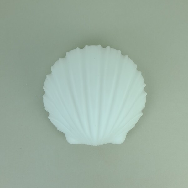 Shell Sconce - Etsy