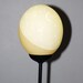 Moon and Stars Ostrich Egg Shell Lampshade. African Interior Decor ...
