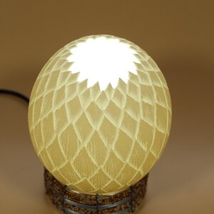 Ostrich Egg Shell Lamp, Pincushion Protea Flower, African Decor - Etsy