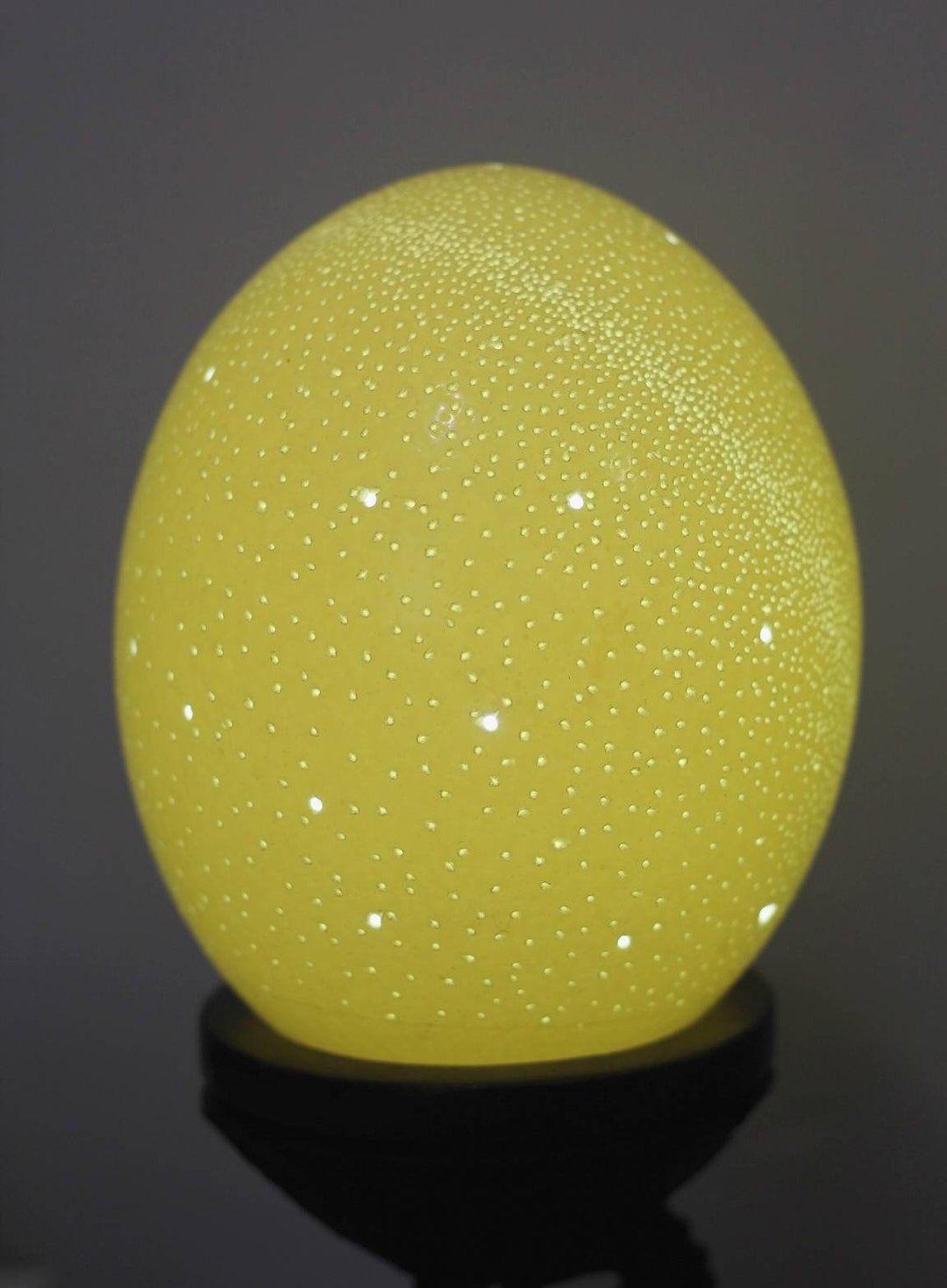 Milky-way Ostrich Egg Shell Lampshade. African Interior Decor Lighting ...