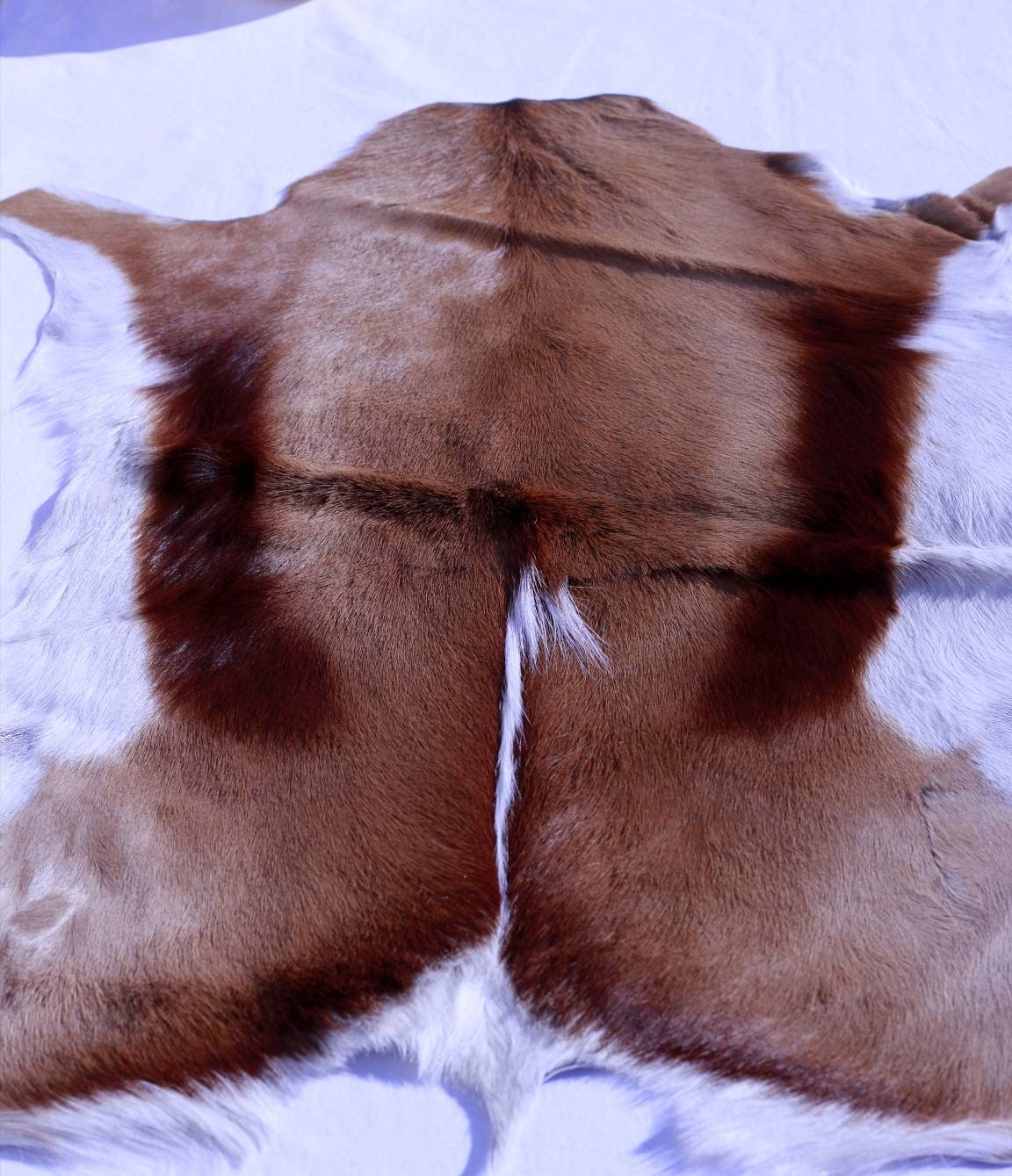Springbok / Small Antelope Skin Rug. Full Authentic Hide. Leather ...