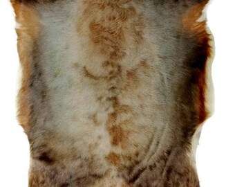 Antelope Skin Rug - Etsy