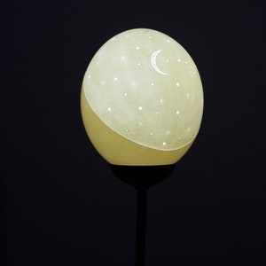 Moon and Stars Ostrich Egg Shell Lampshade. African Interior Decor ...