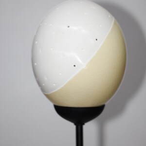 Moon and Stars Ostrich Egg Shell Lampshade. African Interior Decor ...