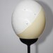 Moon and Stars Ostrich Egg Shell Lampshade. African Interior Decor ...