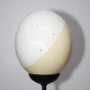 Moon and Stars Ostrich Egg Shell Lampshade. African Interior Decor ...