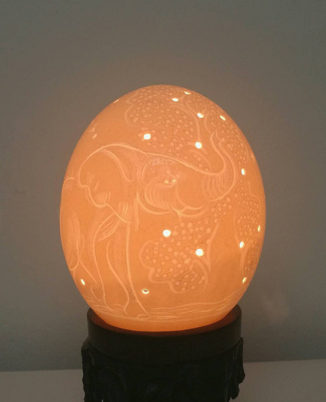 Carved Ostrich Egg Lighting Ostrich Egg Lamp Handmade - Etsy
