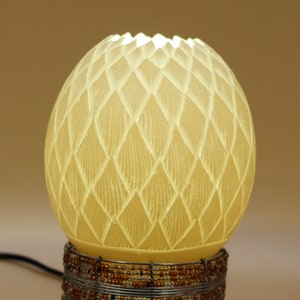 Ostrich Egg Shell Lamp, Pincushion Protea Flower, African Decor - Etsy