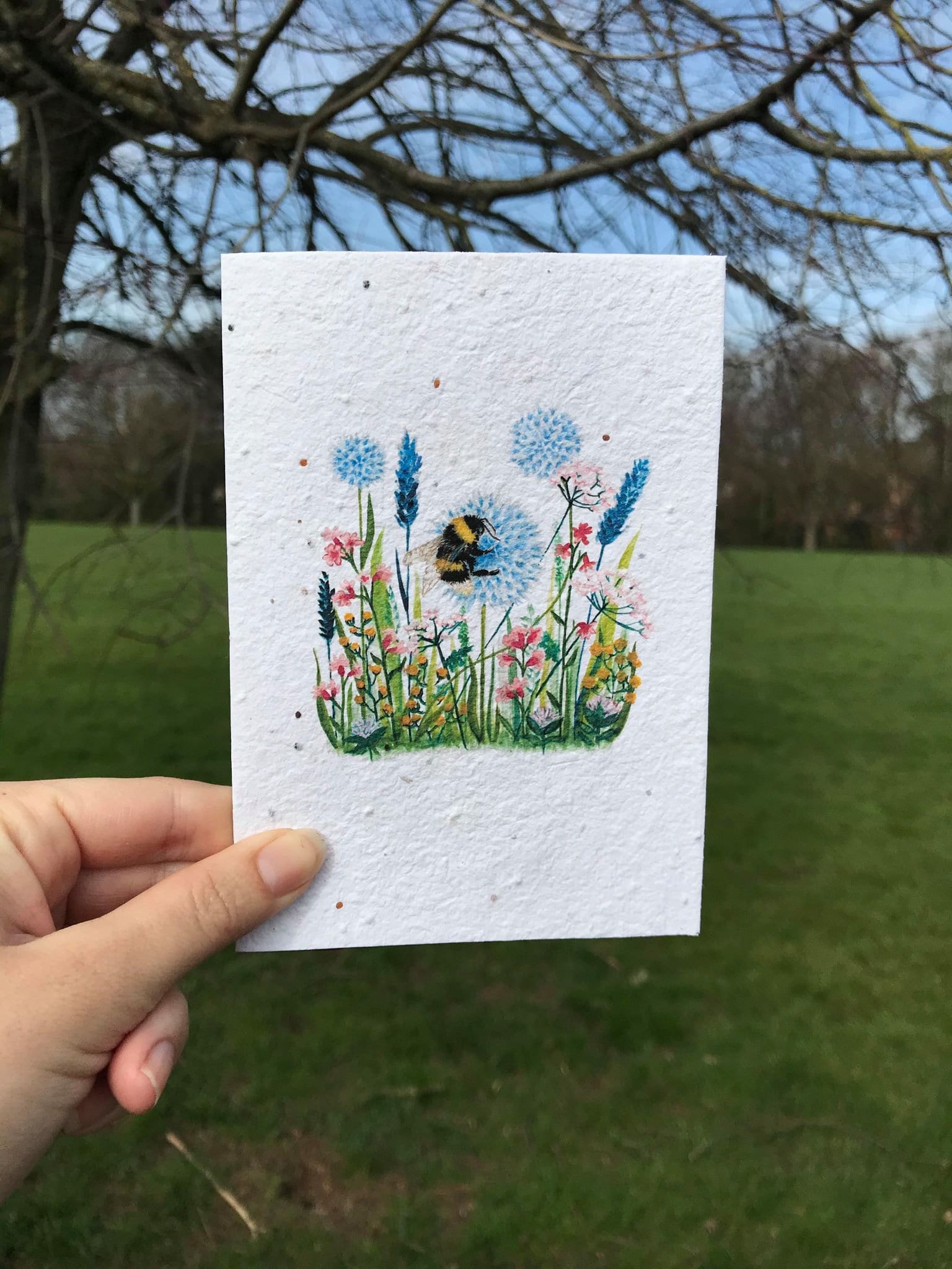 Wildflower Plantable Seed Card Bumble Bee Printed Note Card - Etsy Wildflower Plantable Seed Card Bumble Bee Printed Note Card - Etsy