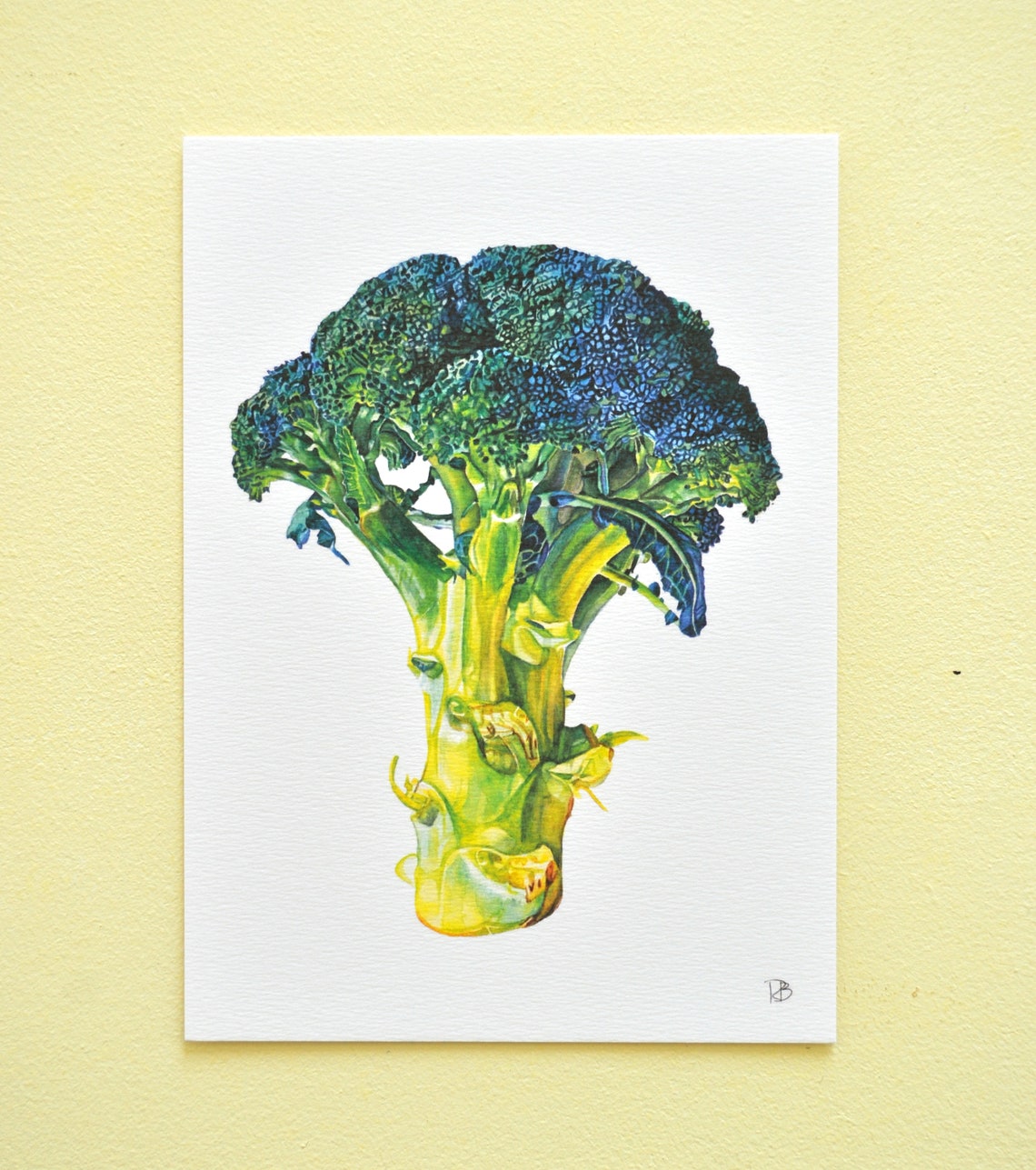 Broccoli Cardcarte Brocoliscarte - Etsy