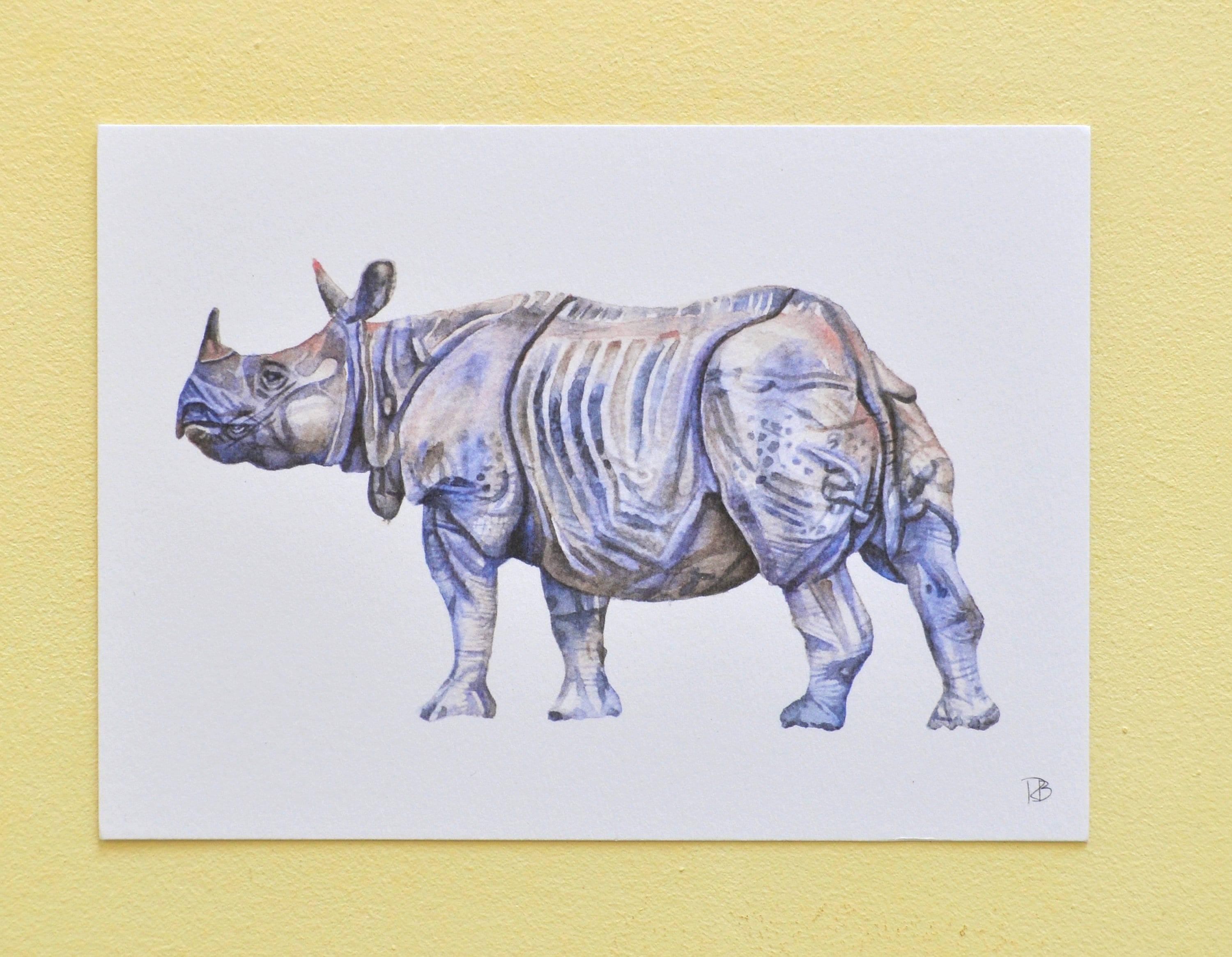Rhinoceros Card Rhinoceros printed Cardanimal - Etsy