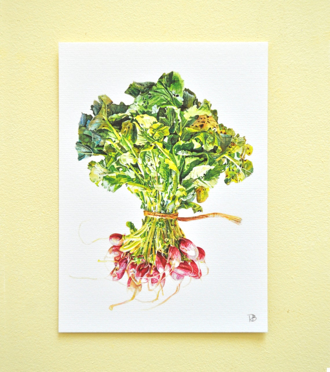 Radish Card-carte Radis-carte | Etsy