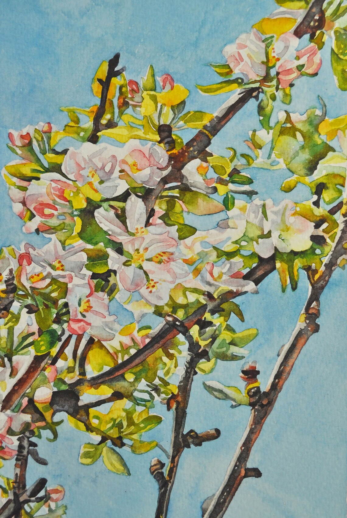 Apple Tree Art Print Watercolor Apple Tree Tree Apple - Etsy