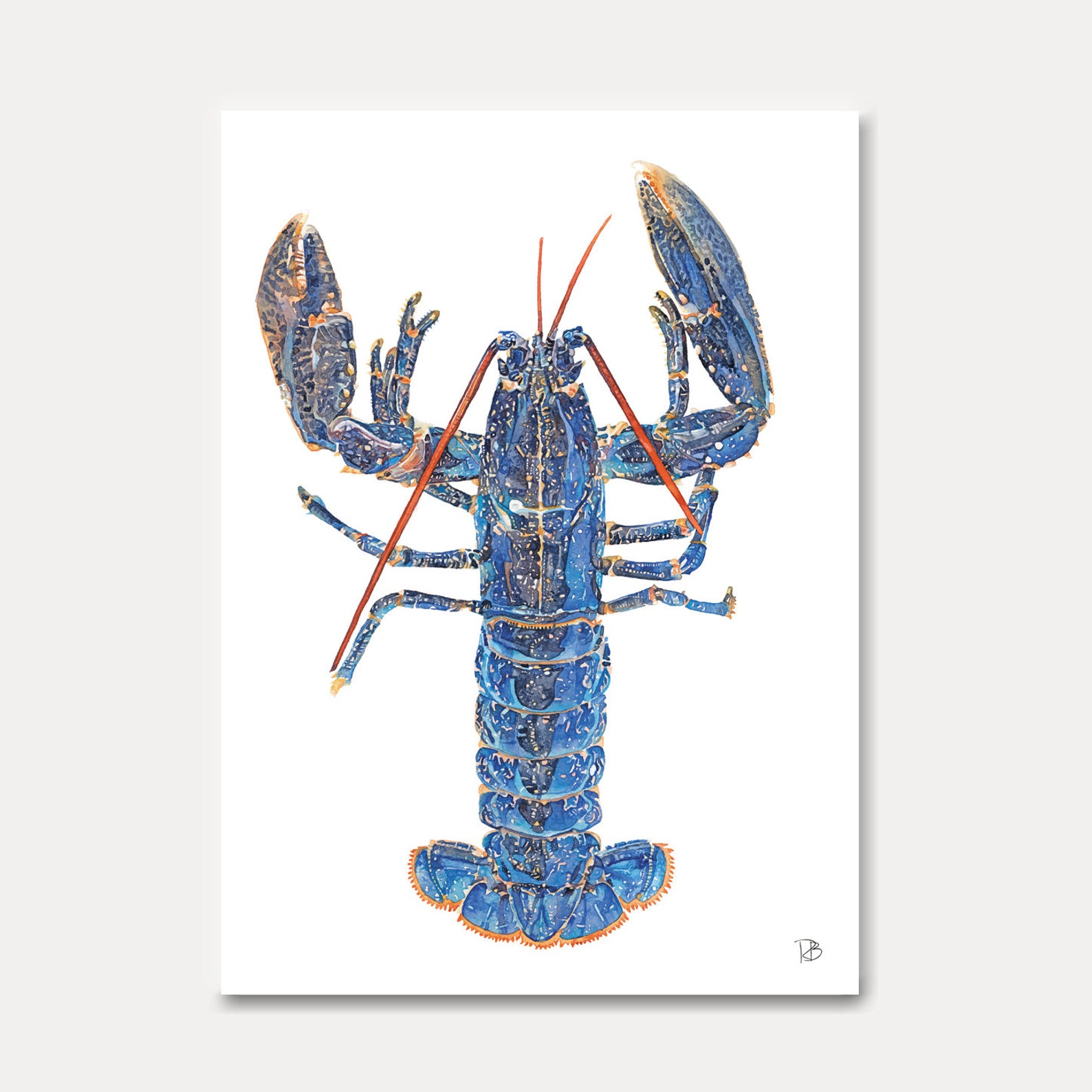 Lobster Postcard, Blue Lobster, Lobster, Watercolor Lobster, Sea Cards ...