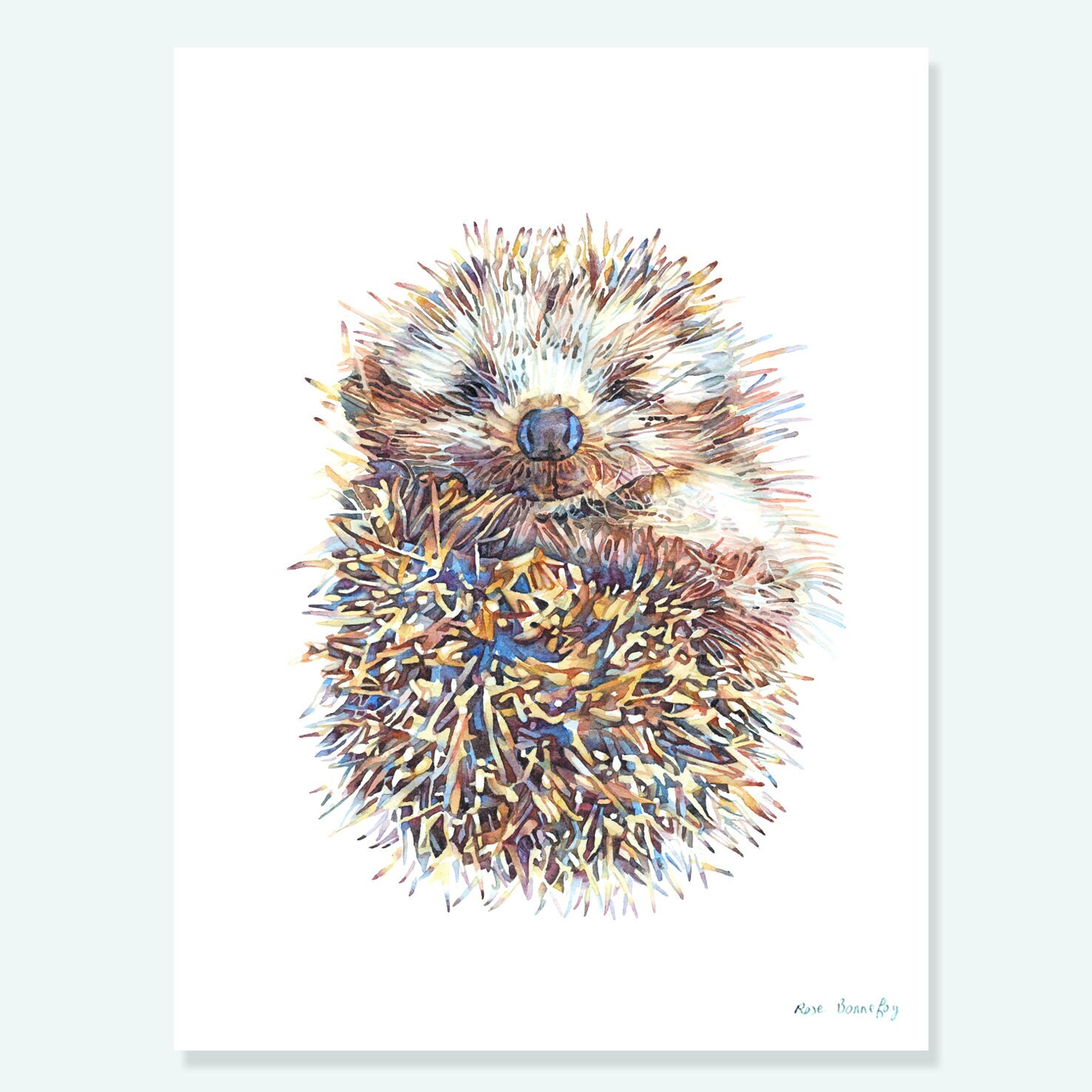 Hedgehog Illustration- Hedgehog - Hedgehog Watercolor - Animal Painting ...