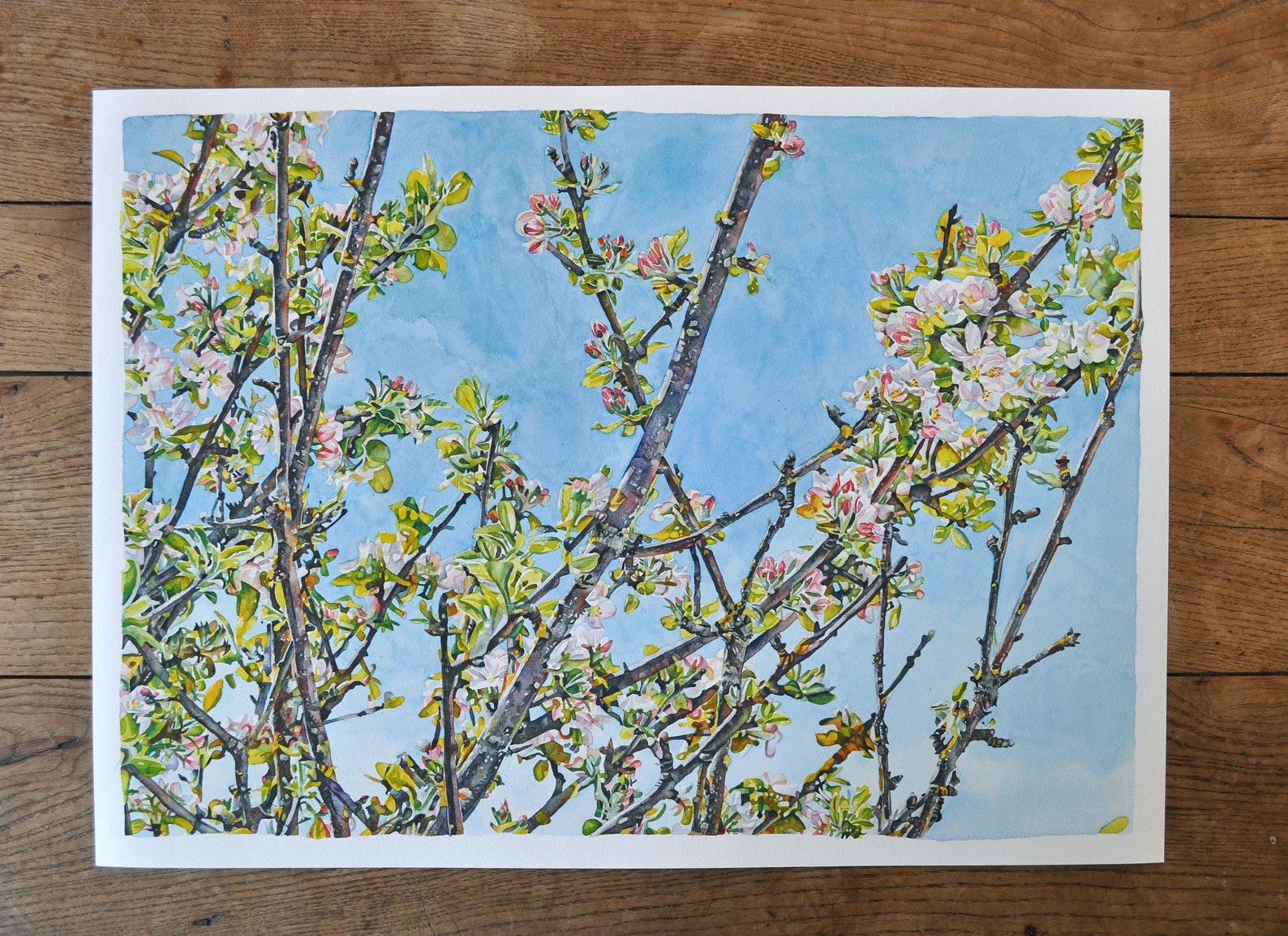 Apple Tree Art Print Watercolor Apple Tree Tree Apple - Etsy