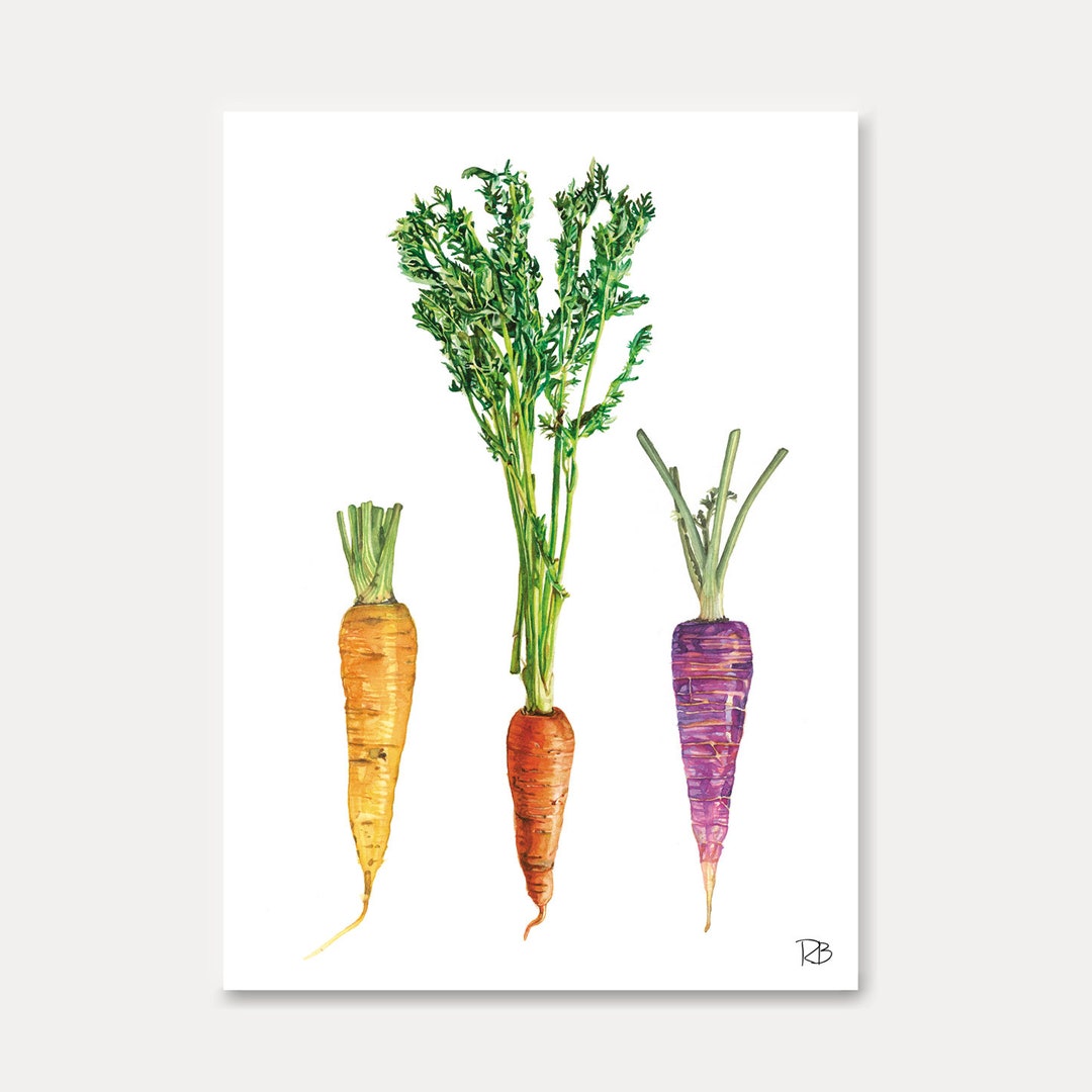 Carrots Print Carrots Card Carrot Watercolor Vegetables - Etsy